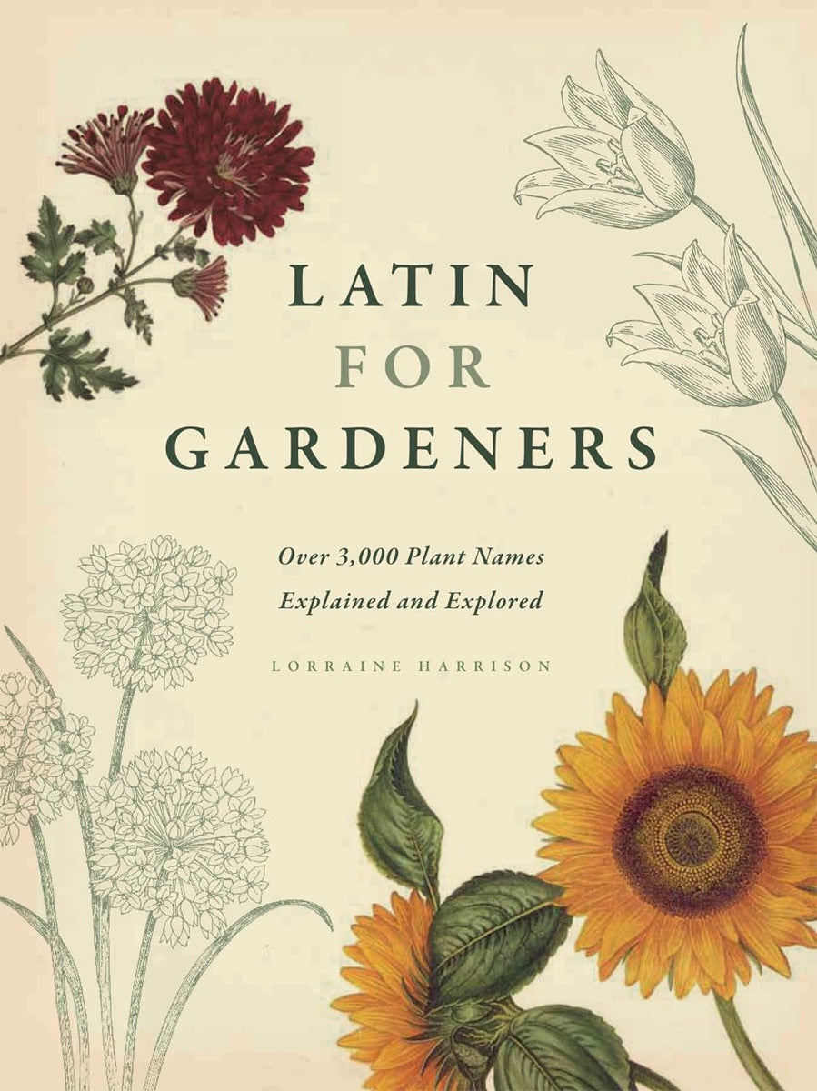 Latin for Gardeners: Over 3,000 Plant Names Explained and Explored by ...
