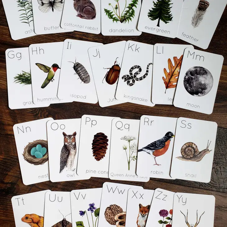 Backyard Nature Alphabet Flashcards – nature+nurture