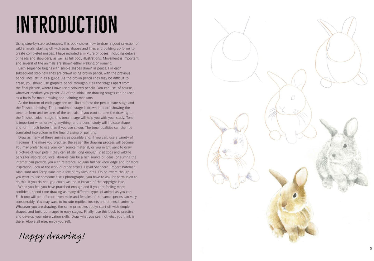 How to Draw Woodland Animals in Simple Steps – nature+nurture