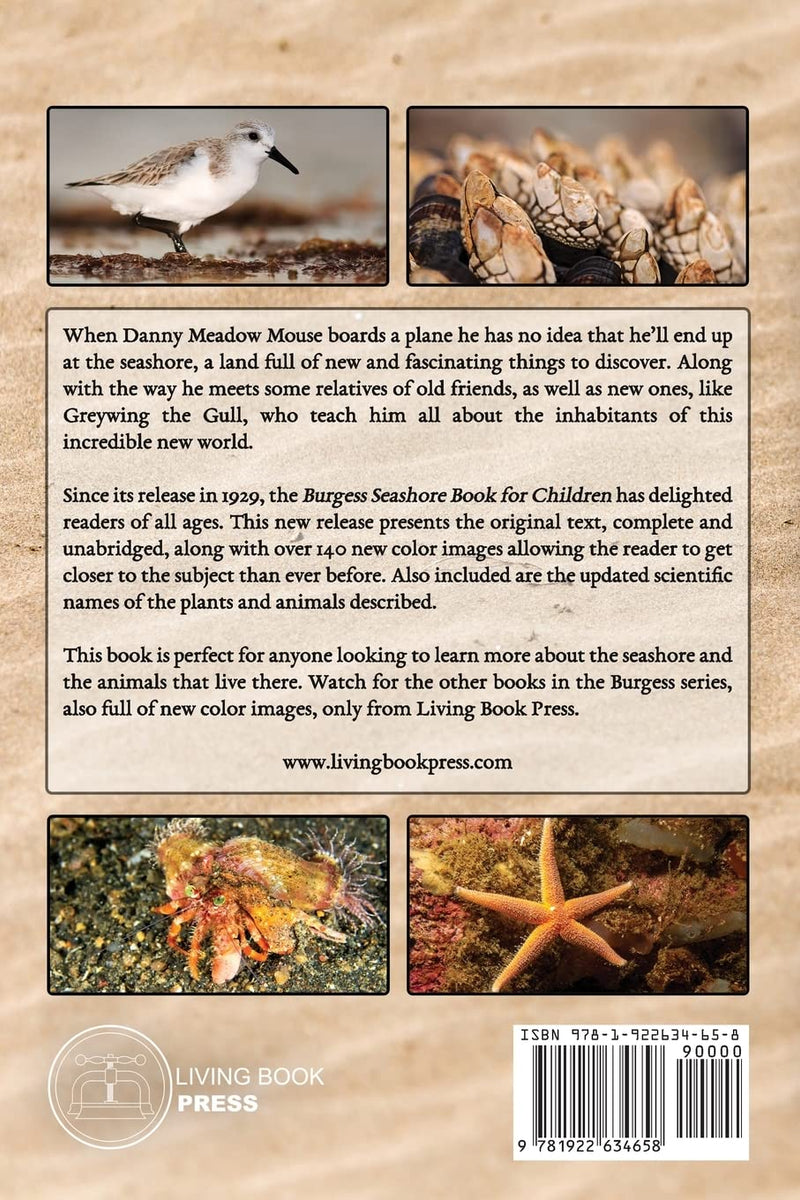 The Burgess Seashore book with new images – nature+nurture