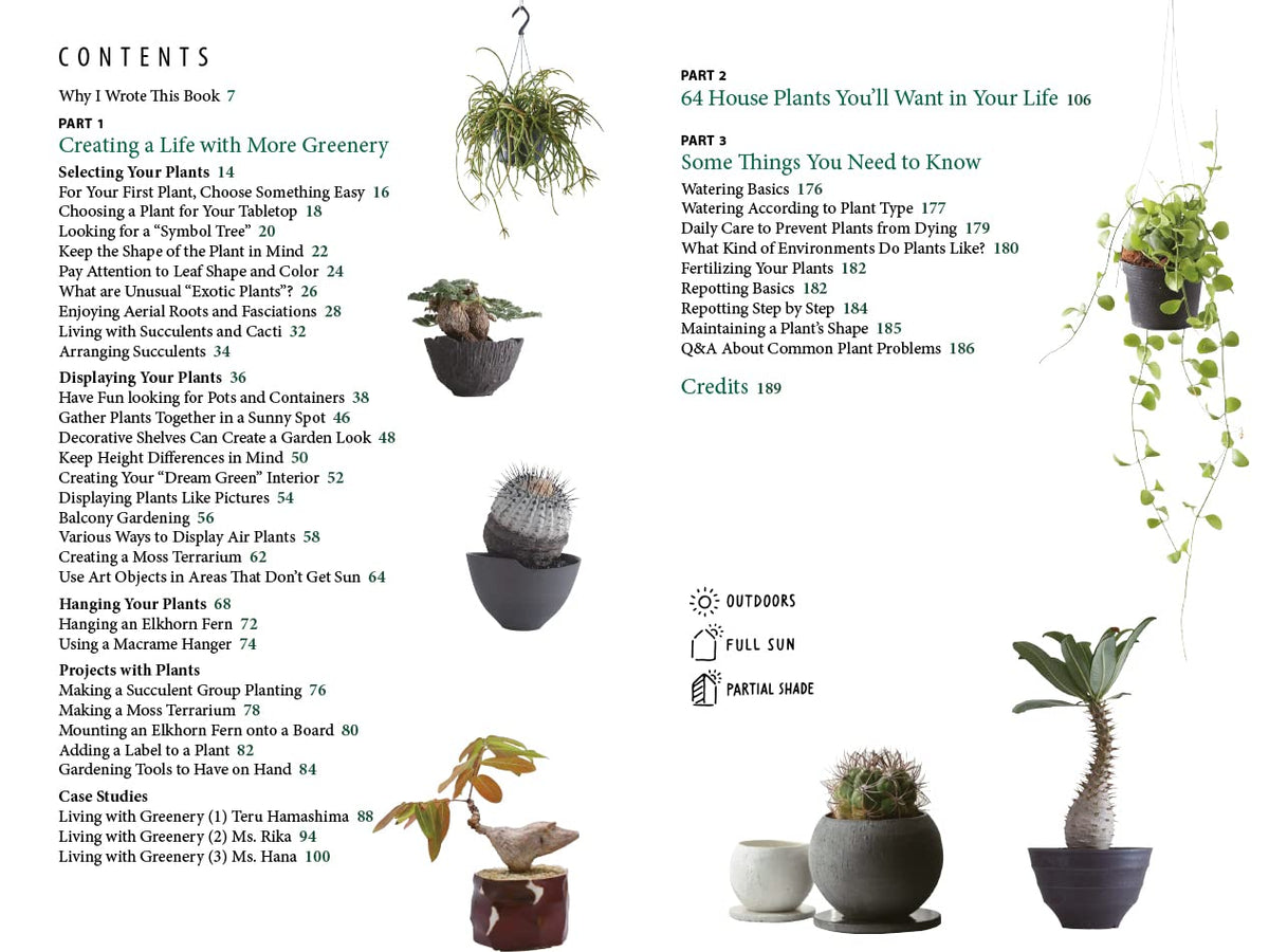 A Beginner's Guide to House Plants: Creating Beautiful and Healthy Gre ...