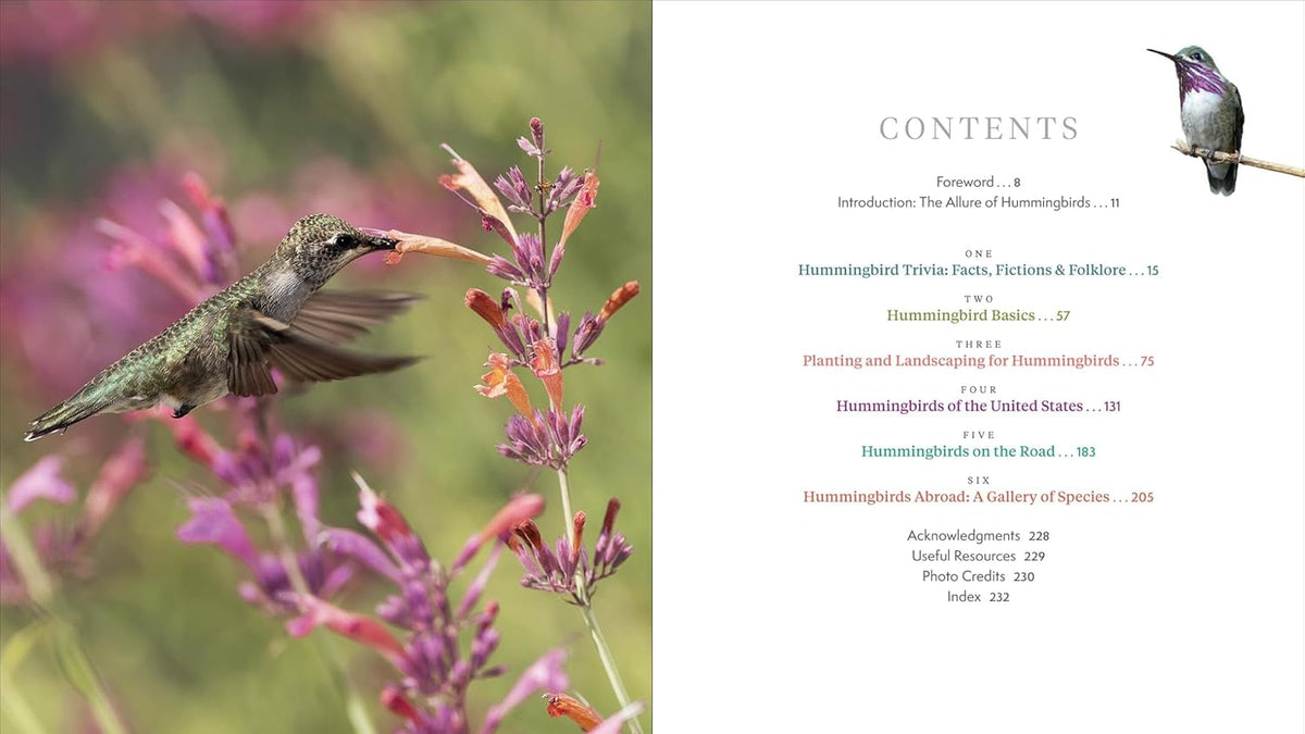 The Hummingbird Handbook: Everything You Need to Know about These Fasc ...