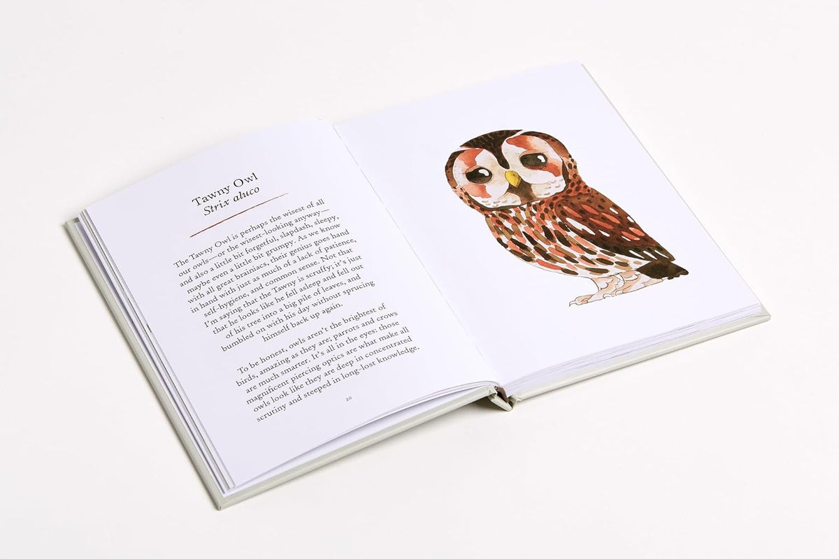 Owls: Our Most Charming Bird by Matt Sewell – nature+nurture