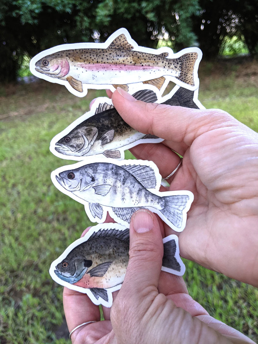 Freshwater Fish Waterproof Stickers (Twig & Moth) – nature+nurture
