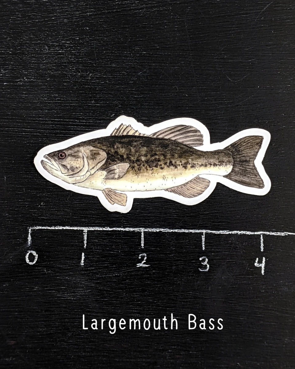 Freshwater Fish Waterproof Stickers (Twig & Moth) – nature+nurture