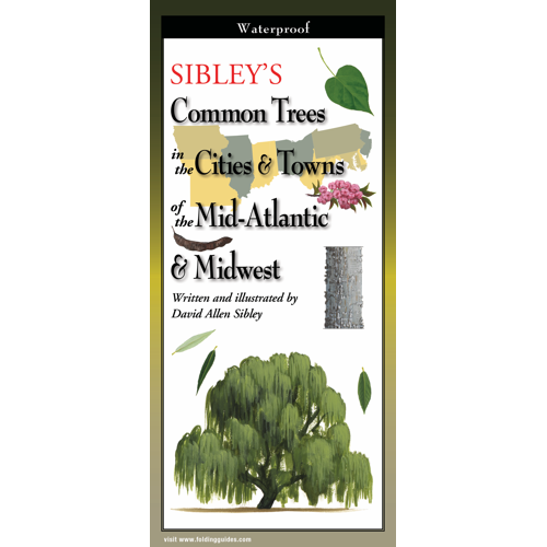 Sibley's Common Trees in the Cities & Towns of the Mid-Atlantic & Midw ...