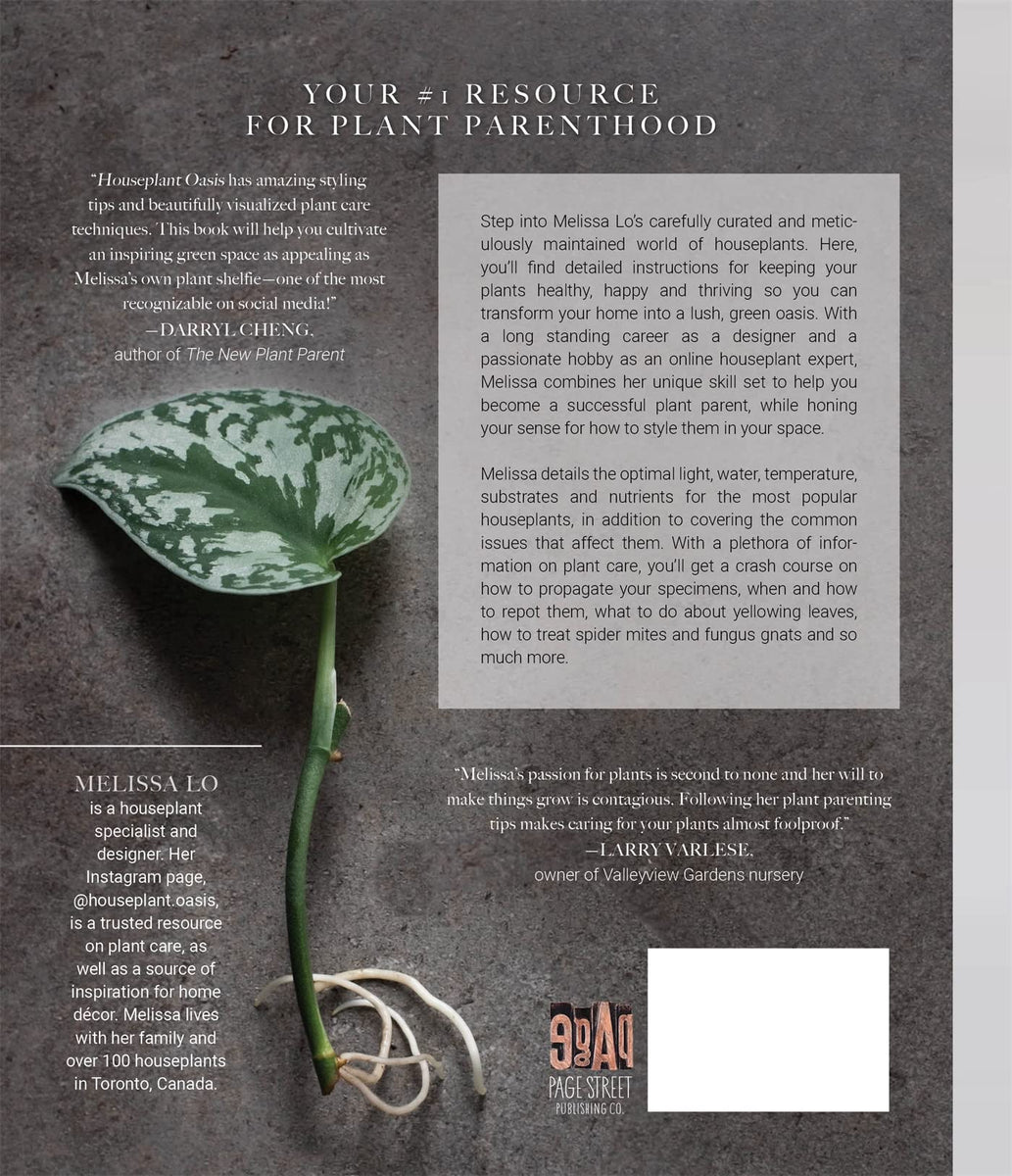 Houseplant Oasis: A Guide to Caring for Your Plants + Styling Them in ...