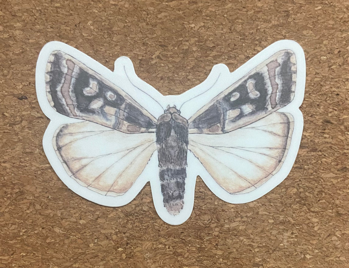 Miller Moth Waterproof Sticker – nature+nurture